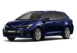 Car Dashboard Symbols & Warning Lights | Suzuki